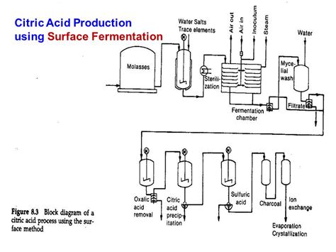 Departemen Teknologi Industri Pertanian Fateta Ipb Ppt Download