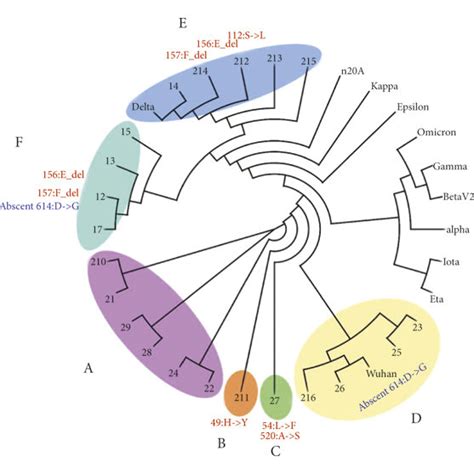 Minimum Spanning Tree Of The Sars Cov 2 Variants Identified In Samples Download Scientific
