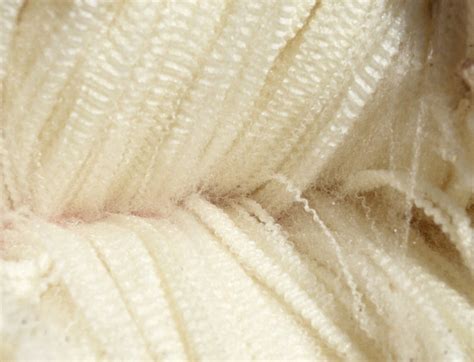 Aurélien | Experience Cashwool