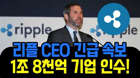 리플 Ceo의 긴급 속보 발표 1조 8천억 기업 인수 그 큰그림의 진실은 Youtube