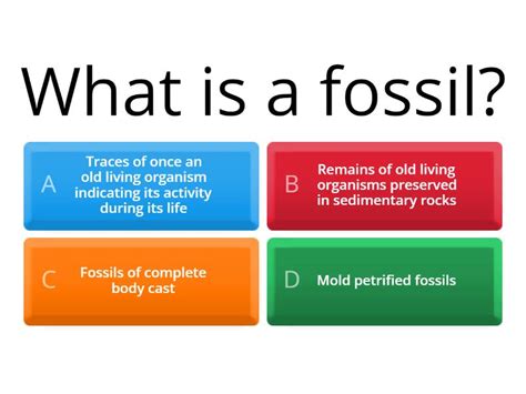 Fossils Quiz