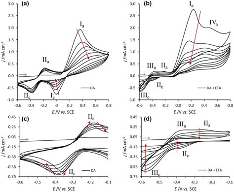 Potentiodynamic Polymerization Of 5 Mm Dopamine In The Absence A And