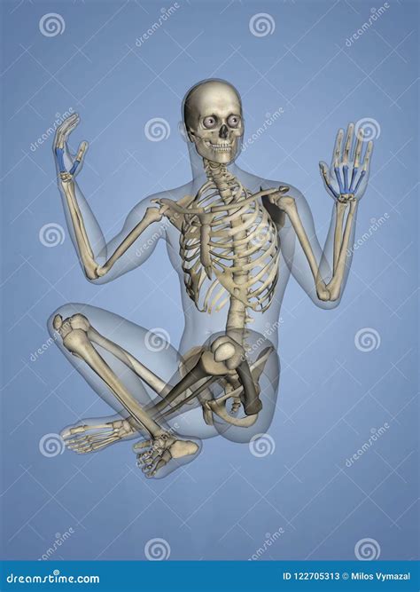 Metacarpus Human Skeleton 3d Model Stock Illustration Illustration Of Bone Hand 122705313