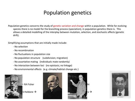 Ppt Population Genetics Powerpoint Presentation Free Download Id5636715