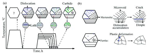 Schematic Illustration Of A Microstructural Evolution Of The Download Scientific Diagram