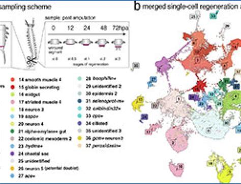 Comparison Of Atopic Dermatitis Transcriptome Profiling By Microarray
