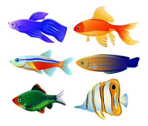 다양한 물고기 종 색상 평면 벡터 일러스트 레이 션 세트 미늘 물 에 대한 Png 일러스트 및 벡터 에 대한 무료 다운로드 Pngtree
