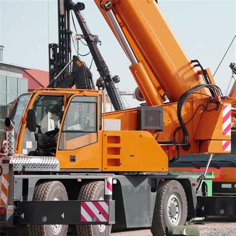 Cranes Learn The Different Types Of Cranes