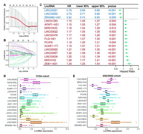 Construction Of The Prognostic Signature Irlncsig A Feature Download Scientific Diagram