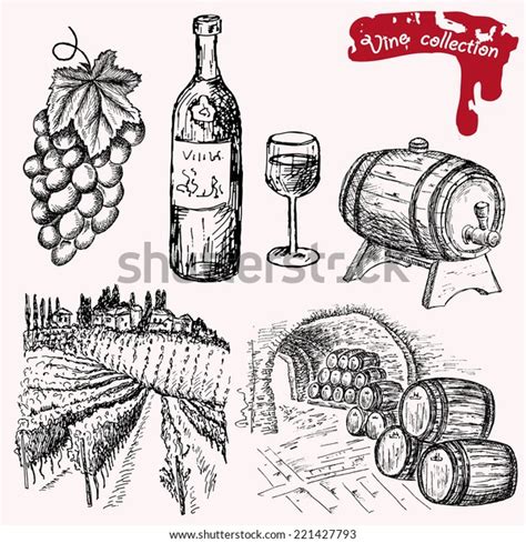 Wine Collection Hand Drawing Set Vector Stock Vector Royalty Free