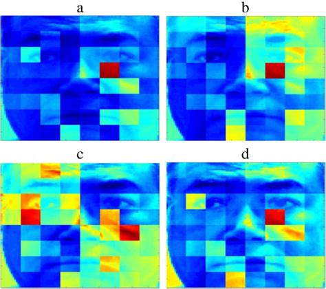 Visualization Of The Weights Learned By Ms Mil Classifier Fig 3a C