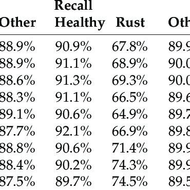 Modeling Results Of Different Loss Functions Download Scientific Diagram