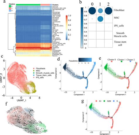 Cell Type Identification Singler Was Used To Assign Cell Types Based On