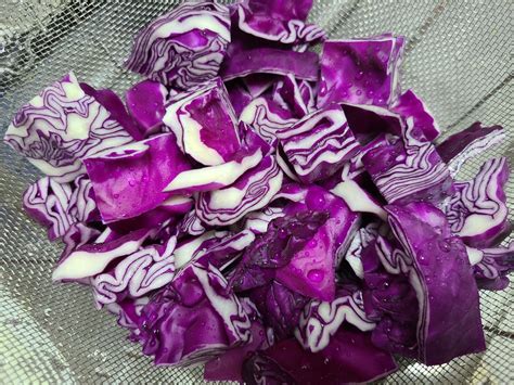 몸에 좋은 한잔 브로콜리양배추주스 만들기