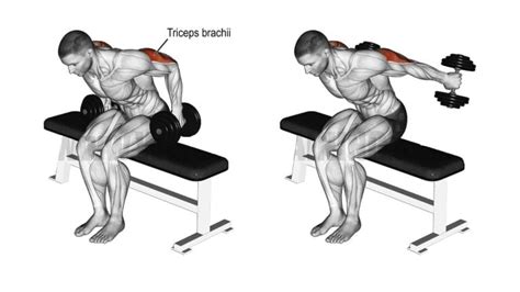 Dumbbell Tricep Kickback How To Do And Muscles Worked