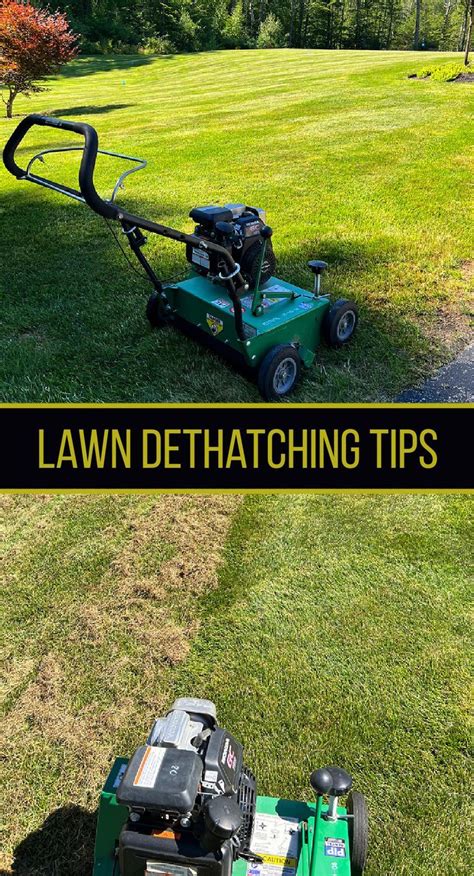 Lawn Dethatching Tips Dethatching Thatching Lawn Dethatching Lawn