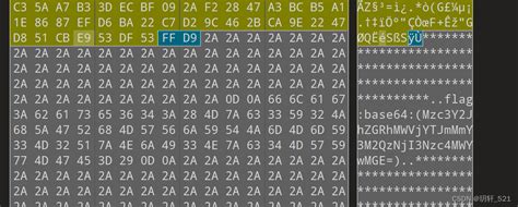 buuctf 隐藏的钥匙 1 csdn博客