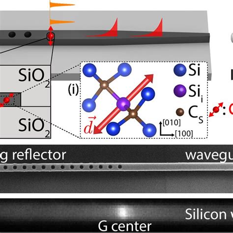 An Atomic Quantum Light Source In Silicon Photonics A Device And Download Scientific Diagram