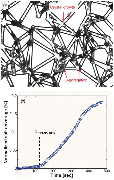 Co 2 Injection And Subsequent Salt Precipitation In The Microfluidic Download Scientific
