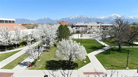 Moving Ahead While Waiting For Cares Act Funds Community College Daily