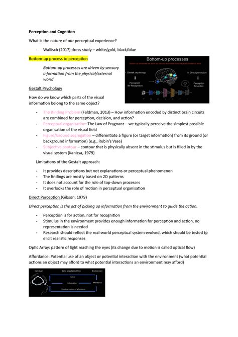 Perception And Cognition Rubins Vase Subjective Contour Contour That Is Physically