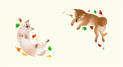 Skyler Boring And Corey Drexlers Wedding Website