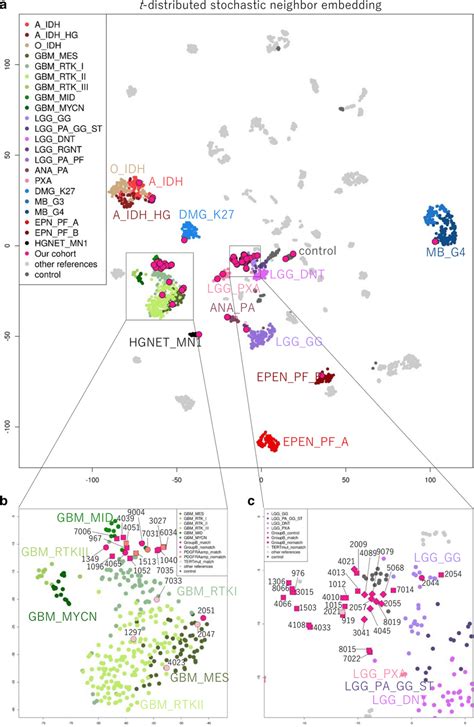 dna methylation based unsupervised clustering of idh wildtype