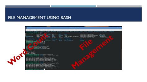 How To Handle Word Count From Files Using Bash Scripting Youtube
