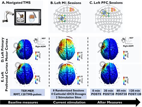 Transferability Of Cathodal Tdcs Effects From The Primary Motor To The Prefrontal Cortex A