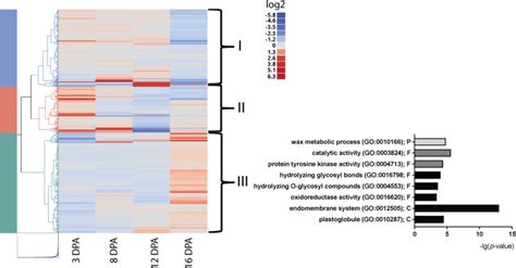 Hierarchical Clustering Analysis Of Gene Expression Data Three Major Download Scientific