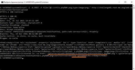 Ctf — File Upload Null Byte Internet