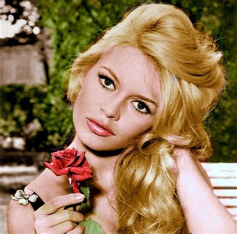 Picture Of Brigitte Bardot