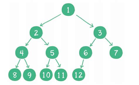 二叉树binary tree coffee baby 博客园 二叉树binary tree coffee baby 博客园