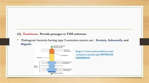 Bacterial Secretion System And Types Pptx