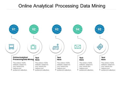 Online Analytical Processing Data Mining Ppt Powerpoint Presentation Infographic Template Slide
