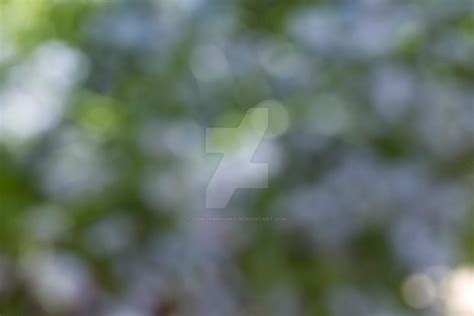 Bokeh By Dzintraregina On DeviantArt