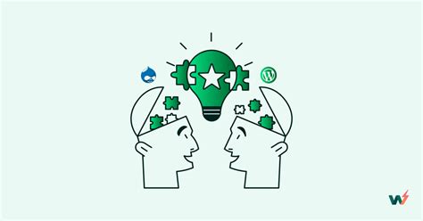 drupal vs wordpress choosing the best cms for your website