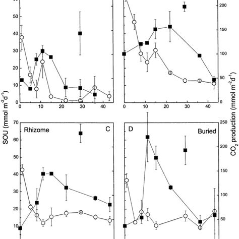 Pdf Role Of Decomposition Of Mangrove And Seagrass Detritus In