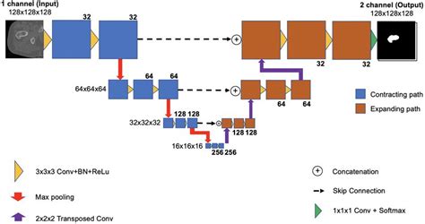Automated Femur Segmentation From Computed Tomography Images Using A Deep Neural Network