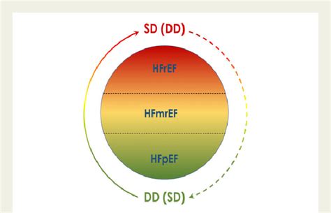 Systolic And Diastolic Dysfunction Across The Left Ventricular Ejection Download Scientific