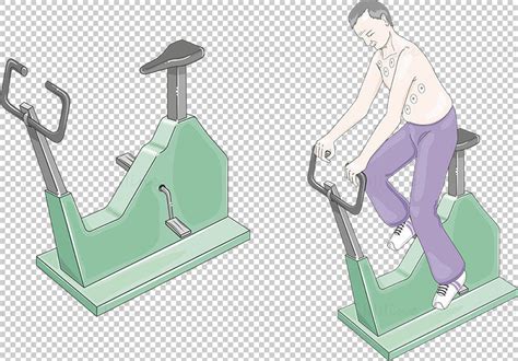 Bicycle Ergometer Stress Test Vector
