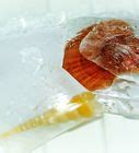 How To Clean Conch Shells A Simple Step By Step Guide
