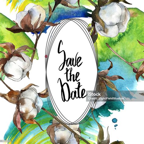 목화 꽃 식물 꽃입니다 수채화 배경 그림 설정 합니다 프레임 테두리 장식 스퀘어입니다 그리기에 대한 스톡 벡터 아트 및 기타 이미지 그리기 꽃 식물 꽃봉오리 Istock