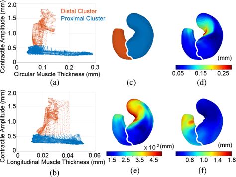 Figure 1 From Diffeomorphic Surface Modeling For Mri Based
