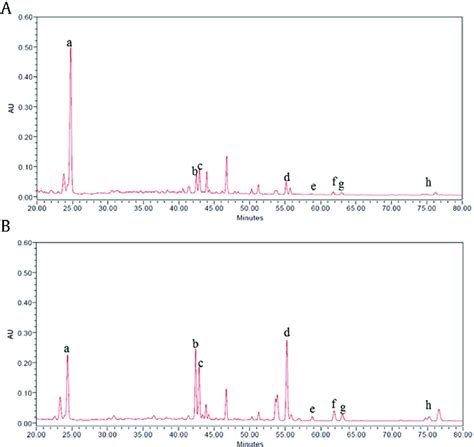 High Performance Liquid Chromatography Hplc Chromatograms Of Panax Download Scientific