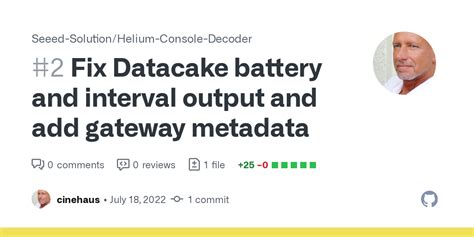 Fix Datacake Battery And Interval Output And Add Gateway Metadata By Cinehaus · Pull Request 2