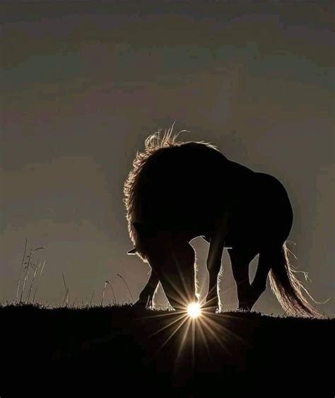 조직을 위협하는 맹구를 찾아내라 개인 병원을 운영하는 의사 후배가 오랜만에 연락을 했다 자기는 경영 마인드를 가지고 나 ♥유머성인영화힐링유머♥ Band