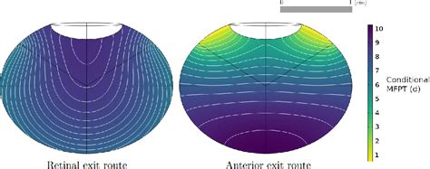 Figure 2 From A First Passage Model Of Intravitreal Drug Delivery And Residence Time In