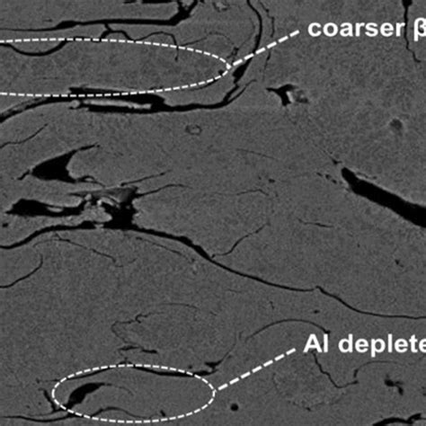 A Cross Sectional Sem Microstructure Showing Two Phase Microstructure
