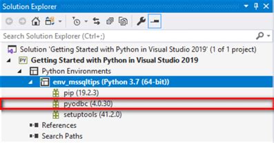 Learning Python In Visual Studio